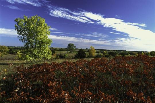 Campground Details - Branched Oak SRA, NE - Nebraska Game and Parks ...