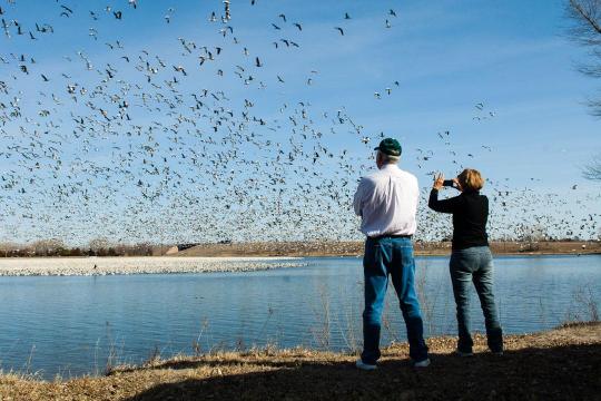 Campground Details - Mormon Island SRA, NE - Nebraska Game and Parks ...